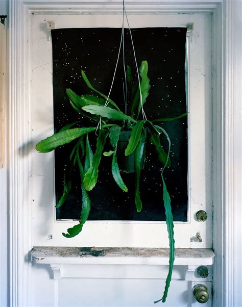 Anthony Lepore Night Shift 2012 M B