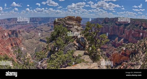 Unkar Creek View From Cape Final North Rim Grand Canyon National Park