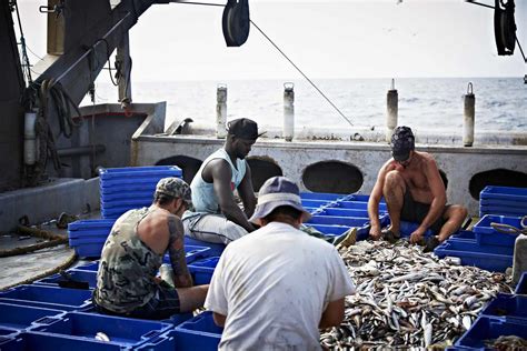 Working Class Definition Compensation And Job Examples