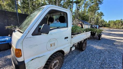 Video Inside The Doob Cube At No9 Sunflower Collections Harvest