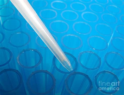 Experiment In Science Research Lab Photograph By Olivier Le Queinec Fine Art America