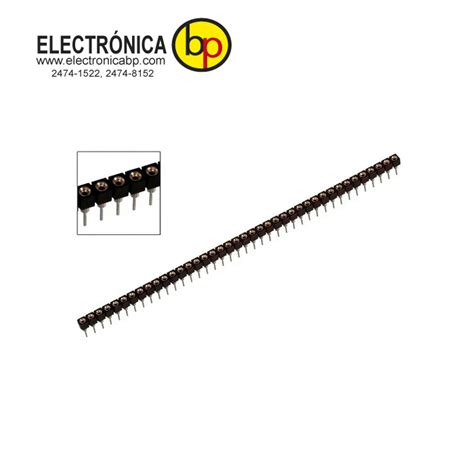 Header H Inicio Electrónica Bp