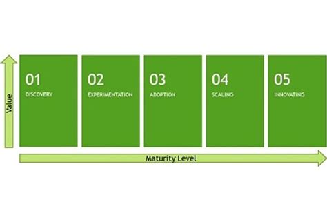 Citizen Development Maturity Model