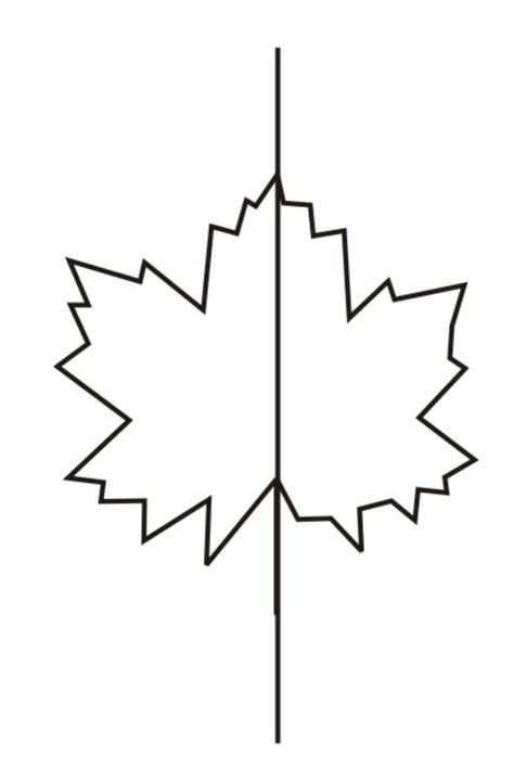 Draw Any Five Symmetrical Pictures Around Us