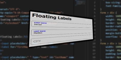 Floating Labels Inside Html Form Using Only Css And Html Dev Community