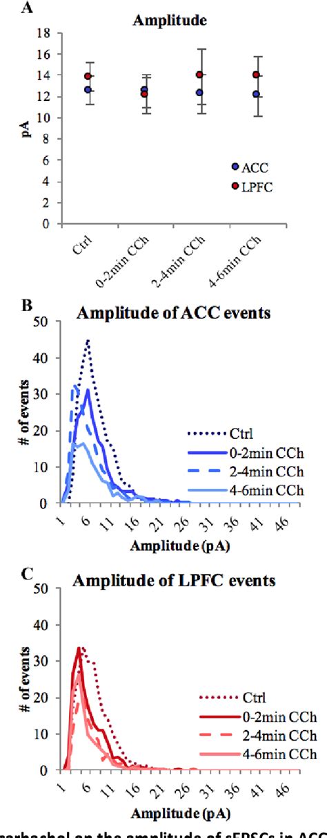 Figure 1 From Cholinergic Modulation Of Excitatory Synapses Of The Acc And Lpfc Semantic Scholar