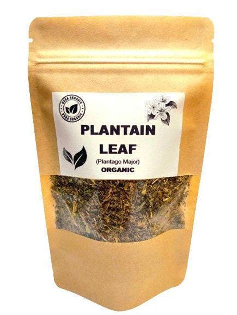 Plantain Leaf Plantago Major Plantain Tea Herbal Tea Dried