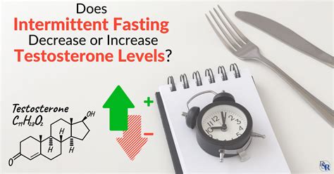 Does Intermittent Fasting Decrease Or Increase Testosterone Levels Dr Sam Robbins