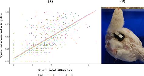 a repeated measures correlation plot for square root transformed