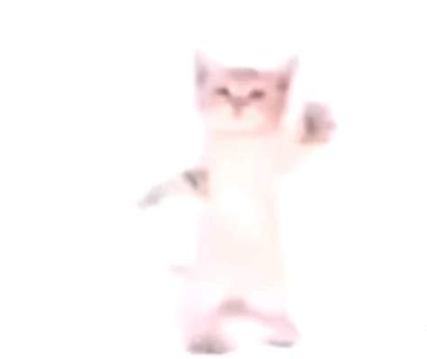 Dancing Kitty Dance Sticker