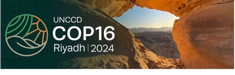 Cop16 2 13 December 2024 Overview · Indico Un