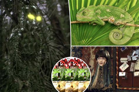 Real Life ‘invisibility Cloak One Step Closer — Scientists Unveil Cutting Edge Camouflage Material