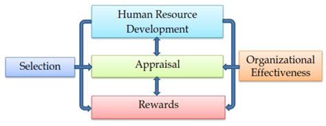 Concept Of Hrm Nature Scope Functions Models Of Hrm
