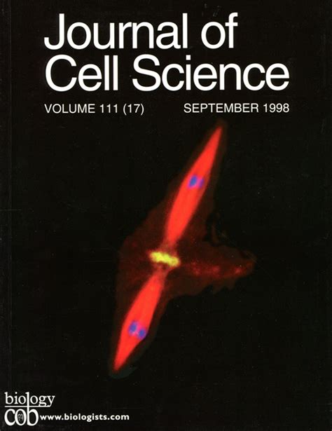 The Putative Sponge Aggregation Receptor Isolation And