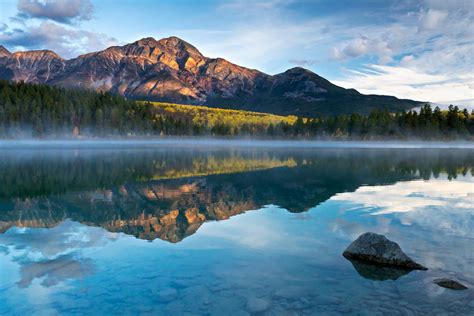 拟合r语言中的多项式回归