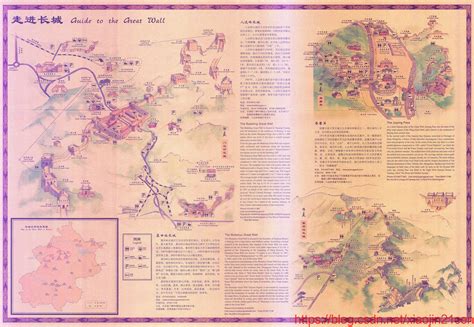 Vue前端使用echarts（径向树状图）