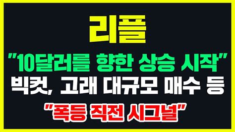 10달러를 향한 상승 시작 리플 빅컷 고래 대규모 매수 등 폭등 직전 시그널 리플 리플전망 리플코인 Youtube