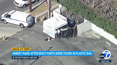 Arrest Made In Connection With Torso Found In Plastic Bag In Encino Police Say Abc7 Los Angeles