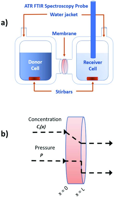 A Depiction Of The Diffusion Cell Apparatus Using An In Situ Atr Ftir Download Scientific