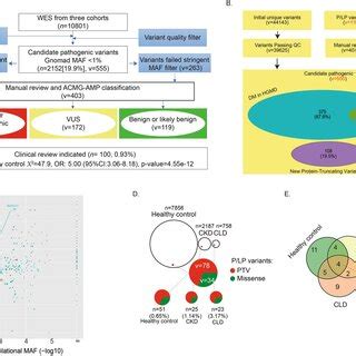 A Search For Candidate Variants And ACMG Classification Revealed An Download Scientific