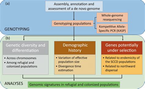 Overview Of Approaches To Investigate Genomic Signatures Of The Download Scientific Diagram