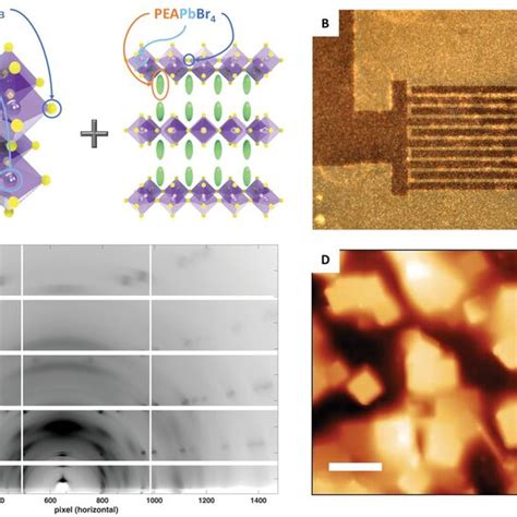Electrical And Optoelectronic Properties Of The 3d2d Perovskite Active