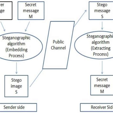 Process Of Steganography Download Scientific Diagram