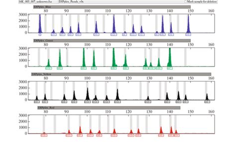 An Example Electropherogram Of Female Profile Download Scientific