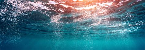 Leistungen Dr Boysen Management Consulting