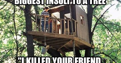 Treehouse Album On Imgur