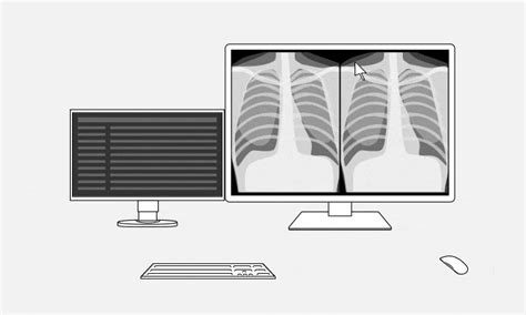 Windows Mouse Loading Gif Pasesteps