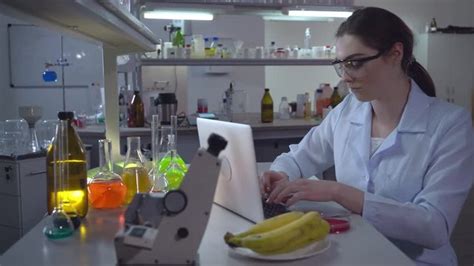 Food Lab Images Browse 49 Stock Photos Vectors And Video Adobe Stock