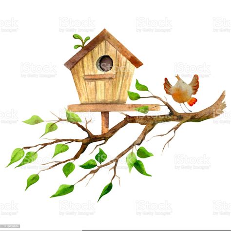 수채화 손으로 그린 새 집은 흰색 배경에 고립 된 새가있는 나뭇 가지에 그려져 있습니다 카드 선물 가방 초대장 섬유 인쇄 벽지