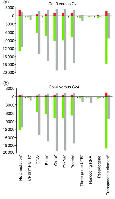 classification of cgh polymorphic tiles based on their sequence types