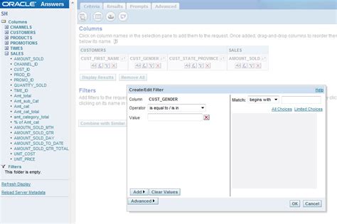 Obieebyexample How To Filter Data In Obiee 10g