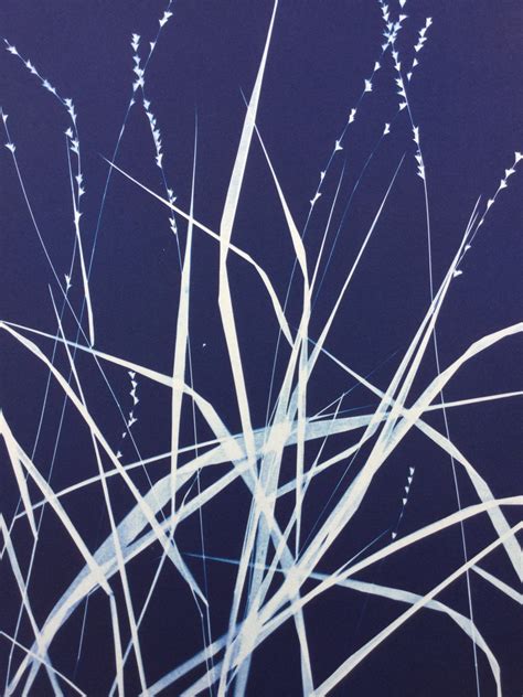 Wild Grass Cyanotype Print Blueprint Sunprint Seedhead Blue Grass