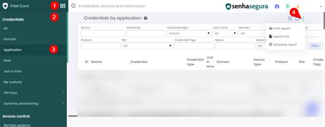 how to access credentials by application report pam core segura