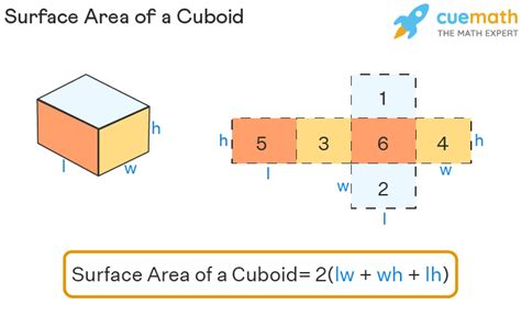 Surface Area Of Cuboid Formulas Of Tsa And Csa Lsa Examples