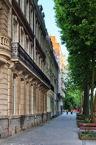 유서 깊은 건물과 나무가 늘어선 길이 있는 매력적인 유럽식 거리 건축물 여행 도시 디자인 및 역사 보존 개념에 이상적입니다 가로수에 대한 스톡 사진 및 기타 이미지 Istock
