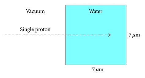 The Simulation Geometry Used To Compare Particle Transport In