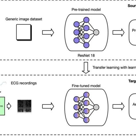 visualization of transfer learning in this work the pretrained models download scientific