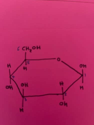 Macromolecules Flashcards Quizlet