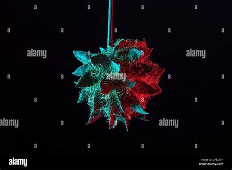 Cyberpunk Style Glycyrrhiza Glabra Seed With Two Tone Lighting On Black