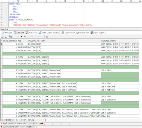 Oracle Decode Function 오라클 디코드 함수 범상치 않은 블로그