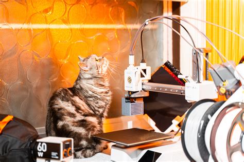 Miniy Miniy8y • Instagram Photos And Videos