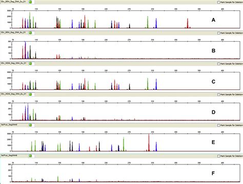 Developmental Validation Of The Ampfℓstr® Ngm Select™ Pcr Amplification Kit A Next Generation