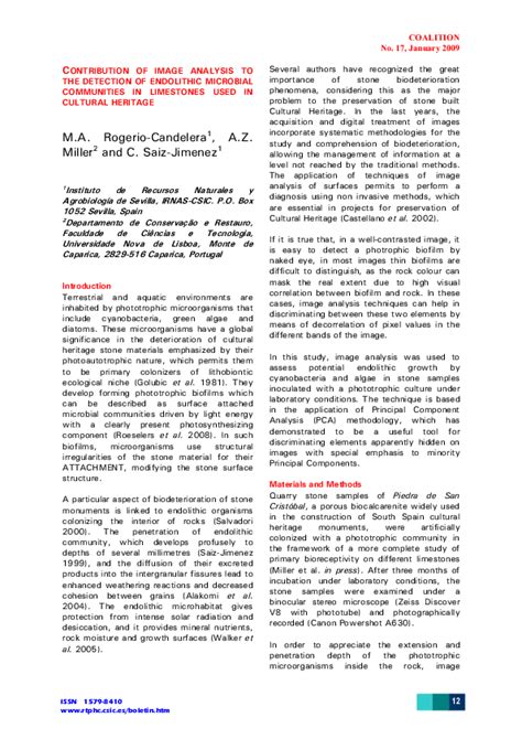 Pdf Contribution Of Image Analysis To The Detection Of Endolithic Microbial Communities In