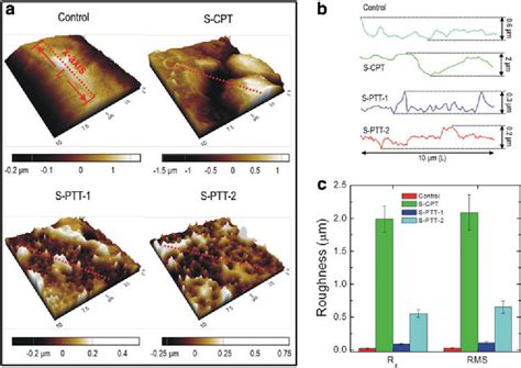 Figure 2 From A Surface Modified Polyɛ Caprolactone Scaffold Comprising Variable Nanosized