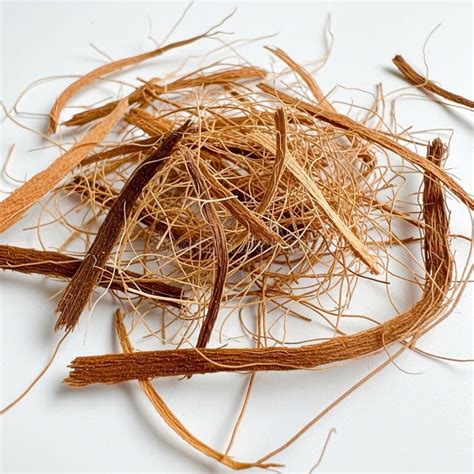 Or Shavings Of A Natural Material Possibly From A Plant Like Palm Or