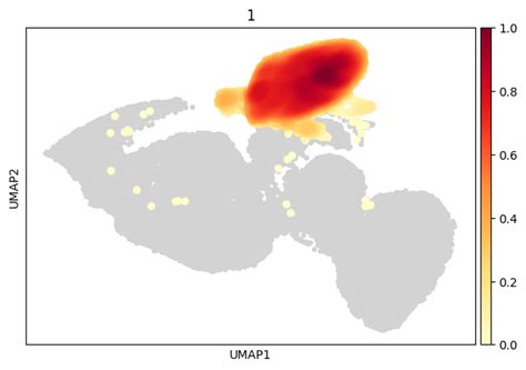 Saving Flow Analysis Data As AnnData Objects For ScanPy FlowKit Documentation